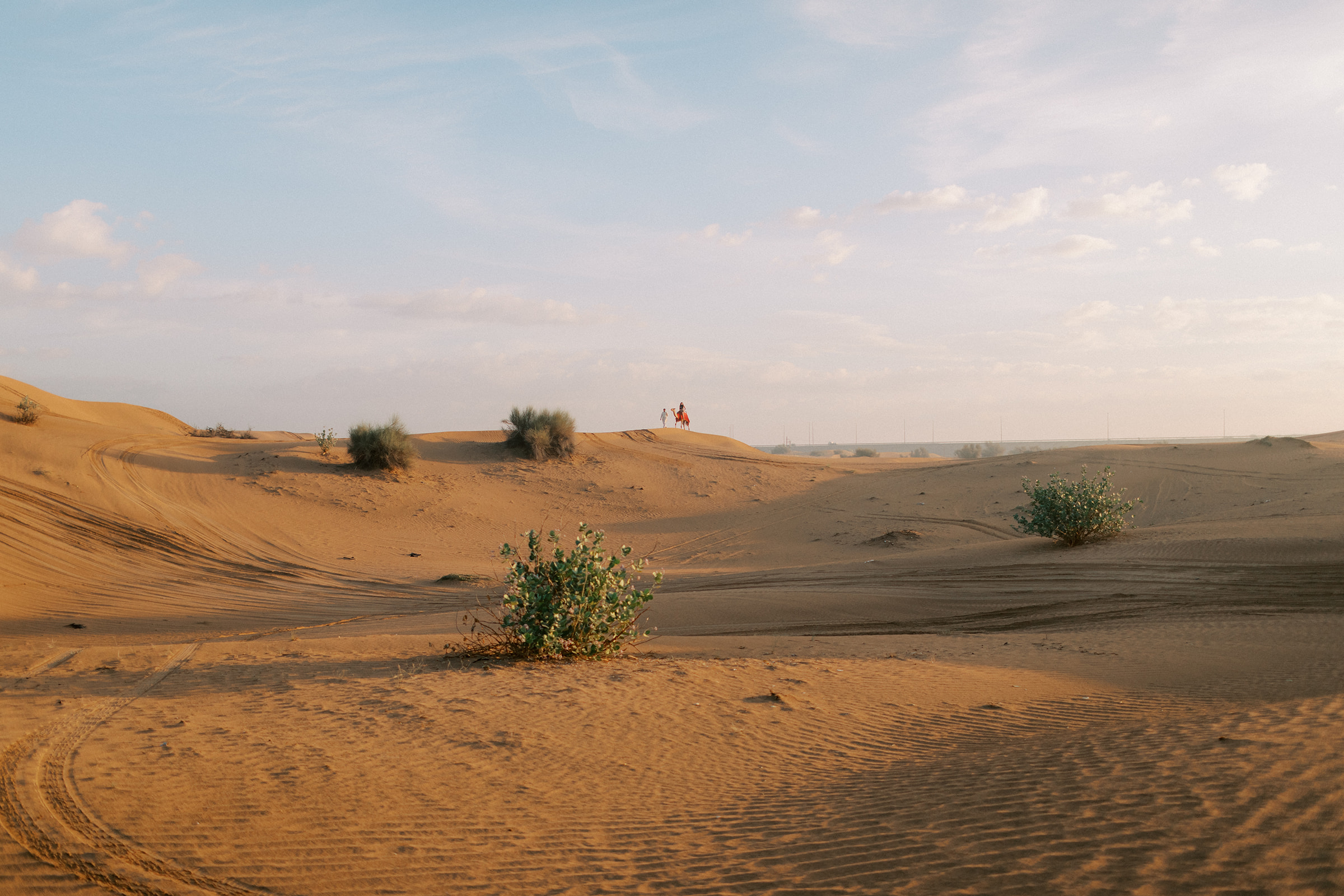 Tess Lucas Photography